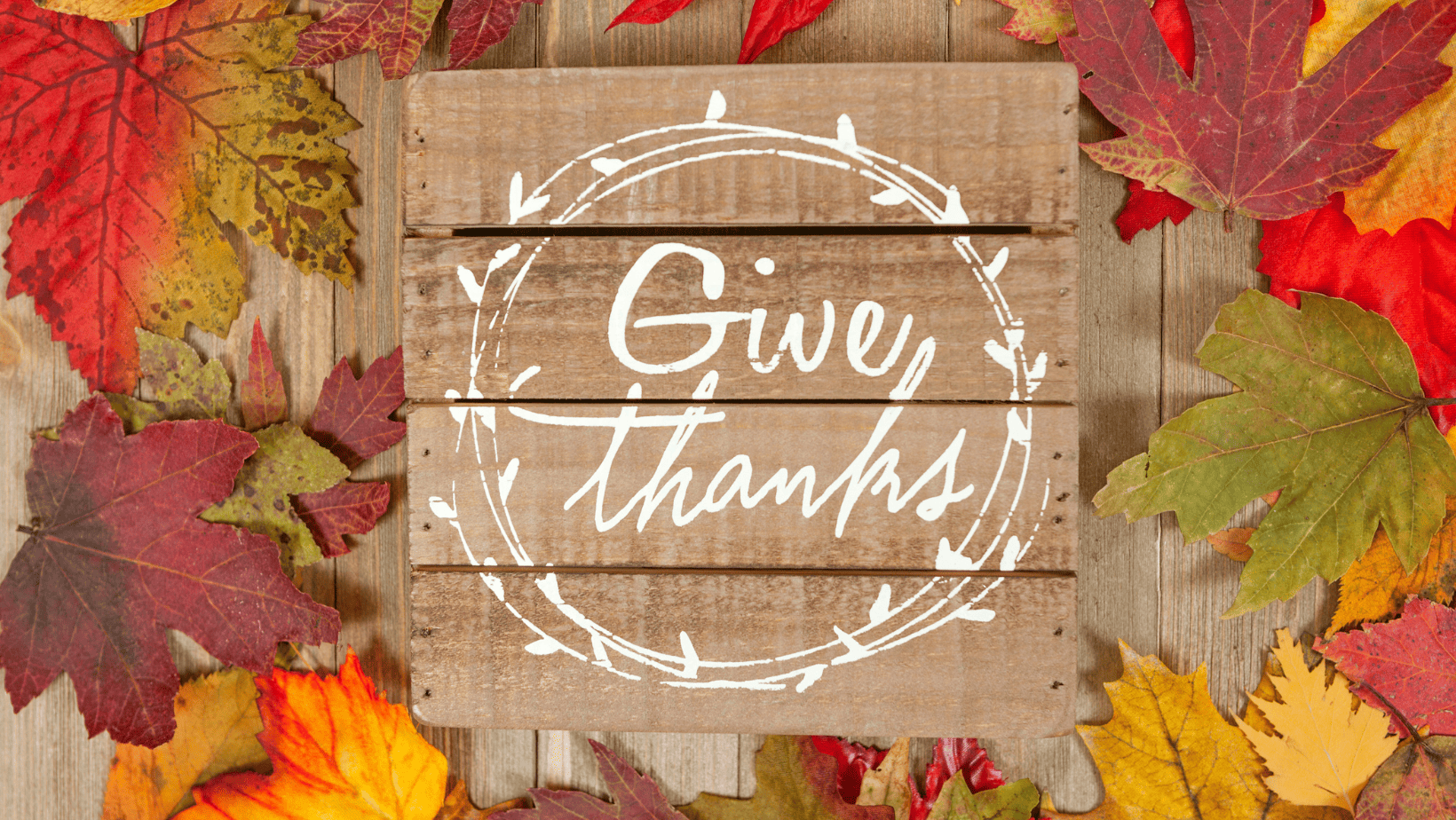 Gratitude - PDG Rehabilitation Services